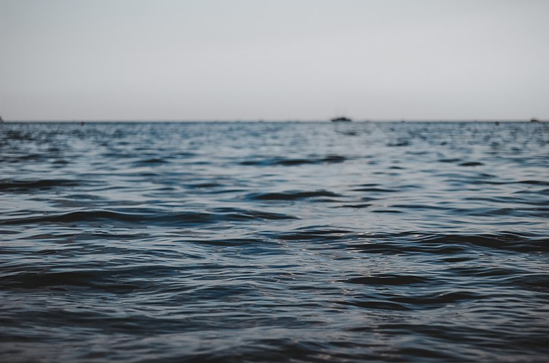 The Dark Ecological Tale of The Black Sea... I Oxford Open Learning